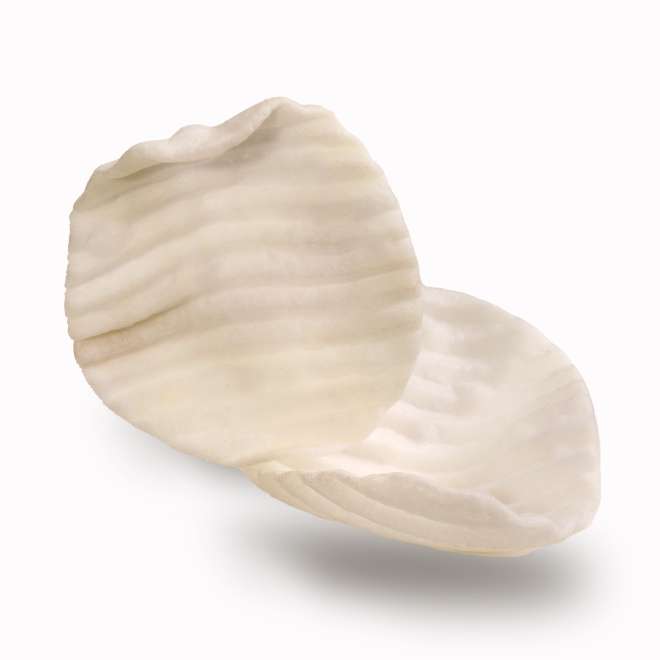 Potato Pellets - Almounajed