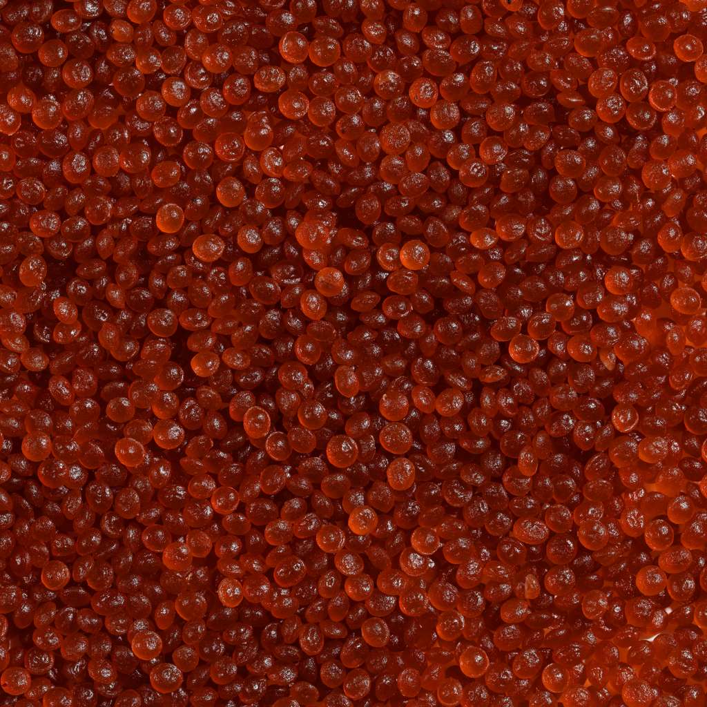 MIX PEPPERS - Almounajed